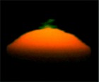 How to catch the elusive green flash | Tonight | EarthSky