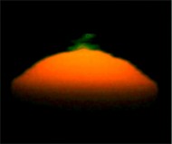 What’s a green flash and how can I see one?