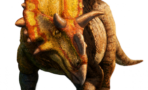 Canada's newest horned dinosaur: Xenoceratops | Science Wire | EarthSky