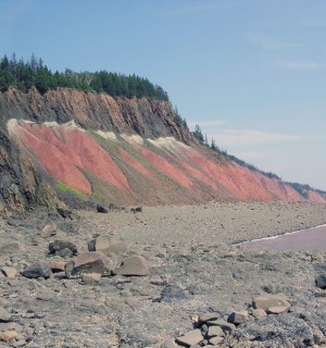 Before dinosaurs, volcanic eruptions triggered mass extinction ...