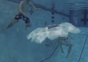 Robotic jellyfish could patrol oceans, clean oil spills, and detect ...