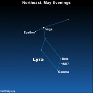 Summer Triangle: Vega and its constellation Lyra | Sky Archive | EarthSky