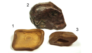 First fragments of 1908 Tunguska meteorite | Earth | EarthSky