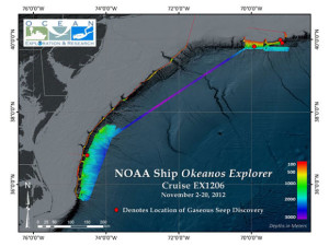 New deep sea community found on Virginia coast | Earth | EarthSky