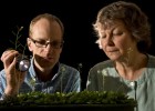 Plants do math to get through the night study says | Earth | EarthSky
