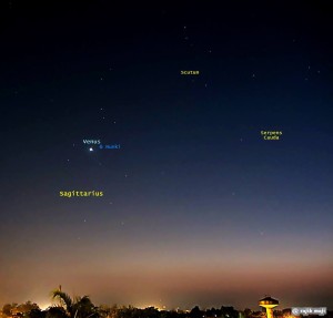 Venus brightest in mid-February for all of 2014 | Human World | EarthSky