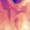 Gulf Stream in infrared on EarthSky | Today's Image | EarthSky