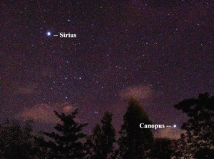 EarthSky | Can you see Canopus, the 2nd-brightest star?