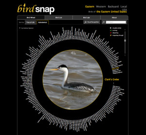 Identify 500 birds with new Birdsnap app | Earth | EarthSky