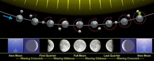 EarthSky | Lengths of lunar months 2021