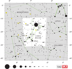 Meet the Dog Stars | Sky Archive | EarthSky