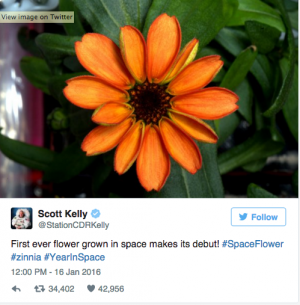 First flower blooms in space. | Human World | EarthSky