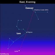 Jupiter and Regulus point to Beehive | Sky Archive | EarthSky