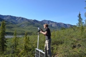Signs of climate change at Arctic tree line | Earth | EarthSky
