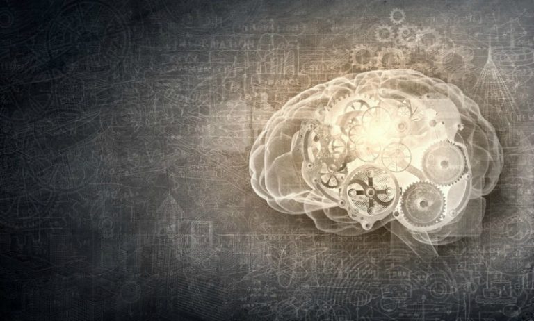 Parts of brain sleep, wake up, all day | Human World | EarthSky