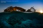 Wow! 2017 underwater photo contest winners | Earth | EarthSky