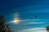 Sunrise sundog | Today's Image | EarthSky