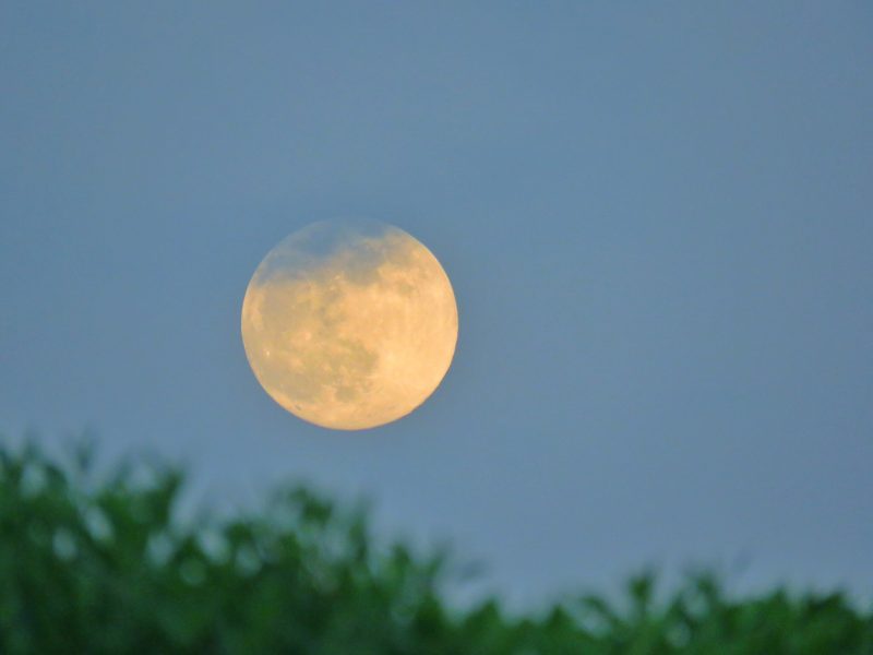See it! This weekend's full moon | Today's Image | EarthSky
