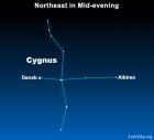 EarthSky | Summer Triangle star: Deneb is distant and luminous
