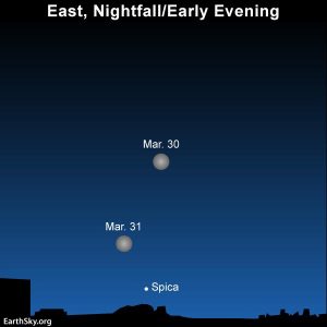 Moon in Virgo March 30 and 31 | Sky Archive | EarthSky