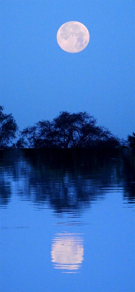 See it! 1st March full moon | Astronomy Essentials | EarthSky