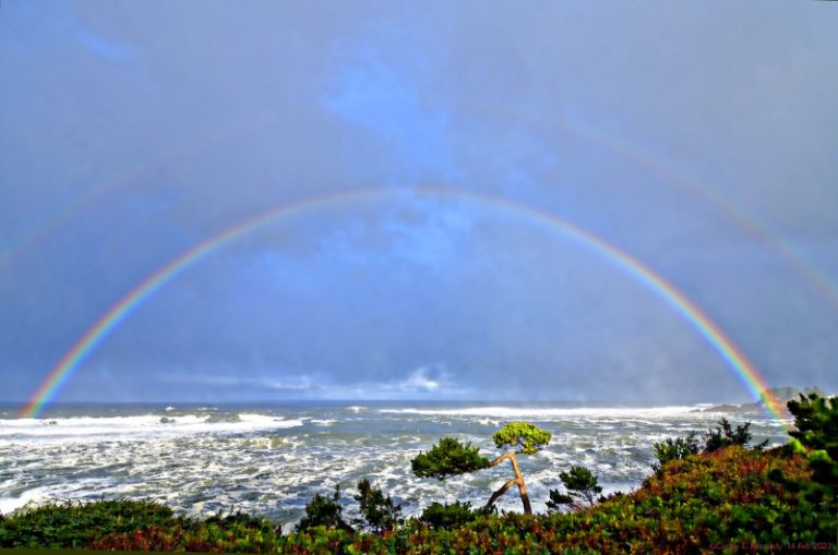 Here’s why rainbows have a curved or arcing shape