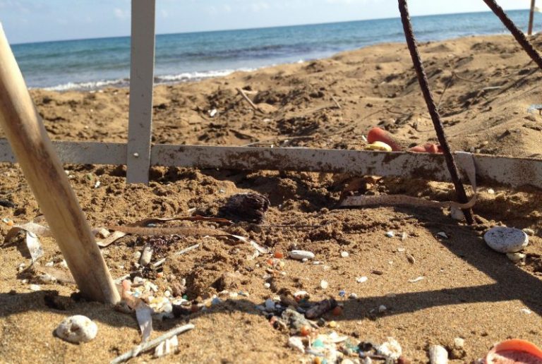 Microplastics found in sea turtle nesting sand