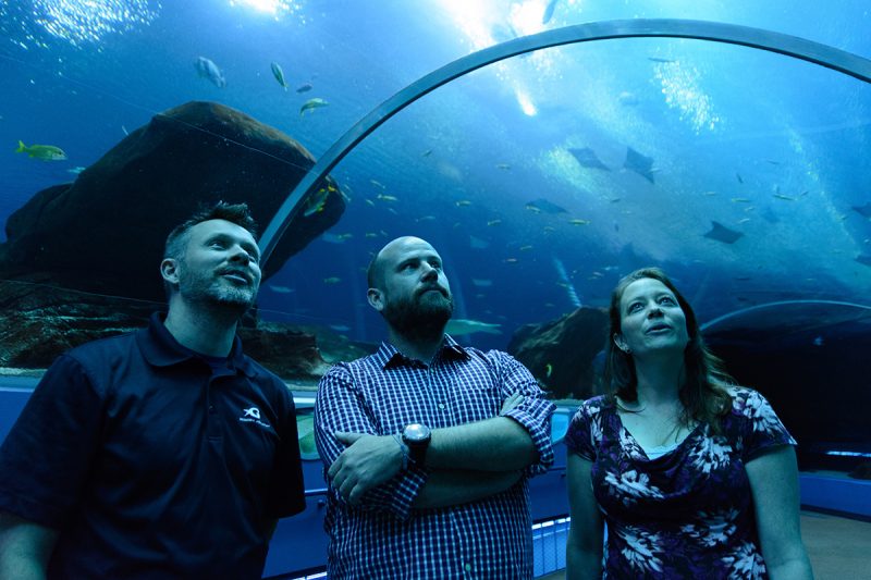 Largest U.S. indoor ocean exhibit has good news | Earth | EarthSky