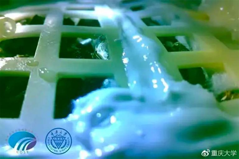 Plants sprout - and die - on moon | Space | EarthSky