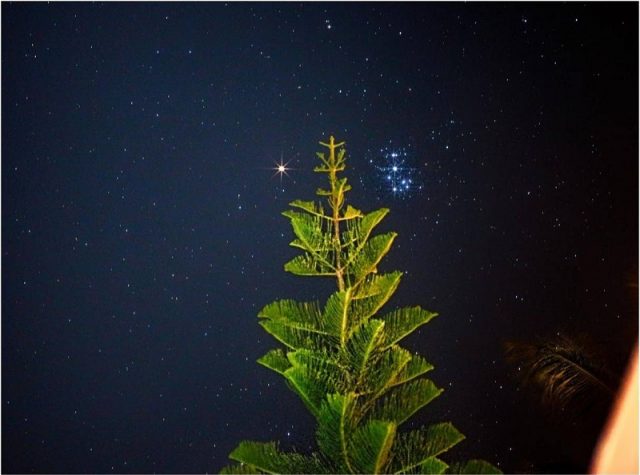 Watch for Venus at dawn, Mars at nightfall | Sky Archive | EarthSky