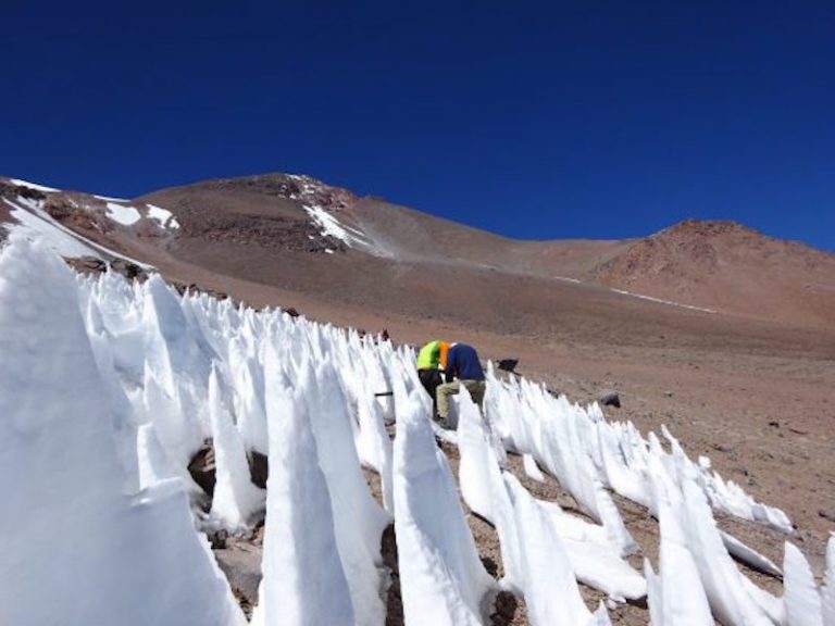 Snow algae thrives in some of Earth’s most extreme conditions | Earth ...