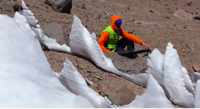 Snow algae thrives in some of Earth’s most extreme conditions | Earth ...