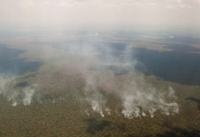 Why the Amazon is burning: 4 reasons