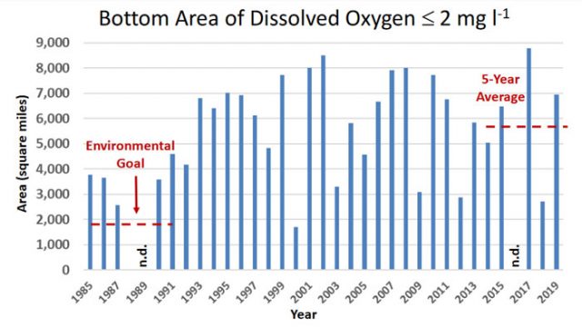 Large 2019 dead zone in Gulf of Mexico | Earth | EarthSky