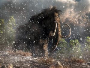 The last mammoths died on a remote island | Earth | EarthSky
