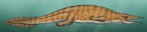 Chance fossil discovery reveals ancient marine reptile | Earth | EarthSky