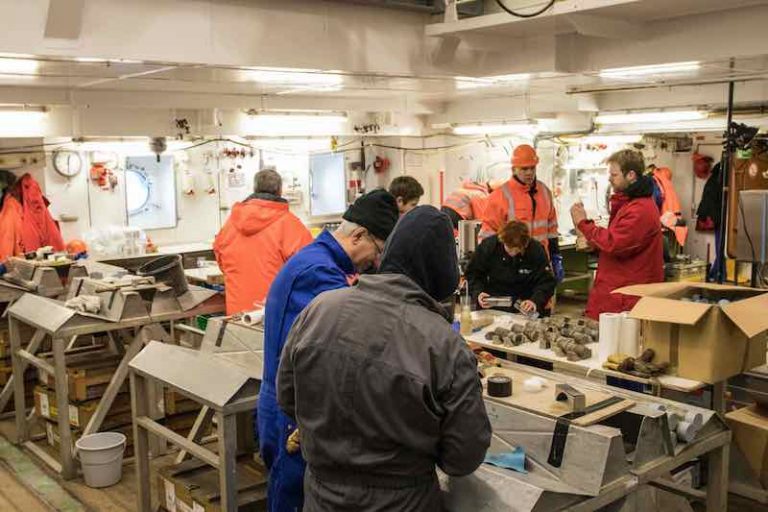 A rainforest in Antarctica during the age of dinosaurs | Earth | EarthSky