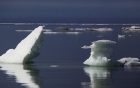 Why Arctic sea ice has stalled, and what it means for the rest of the ...