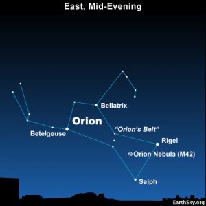 news sciences: Bellatrix is Orion’s 3rd-brightest star