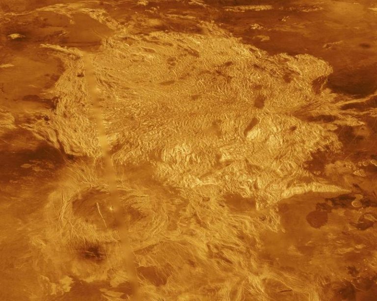 Venus was once more Earth-like, but climate change made it ...
