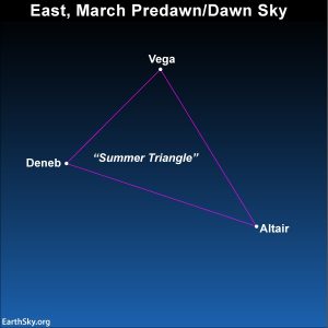 EarthSky | Summer Triangle, signpost for all seasons