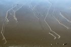 What moves the sailing stones of Death Valley?