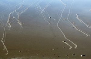 What moves the sailing stones of Death Valley?
