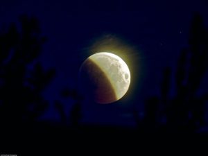 See it! May 26, 2021, lunar eclipse photos