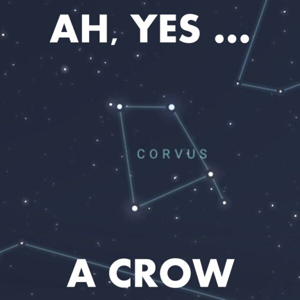 news sciences: Meet lovable, easy-to-find Corvus the Crow
