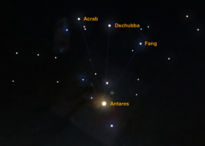 Meet Delta Scorpii, aka Dschubba, it’s a variable star