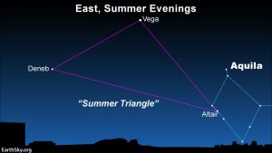 Summer Triangle star: Altair is variable and spins fast!