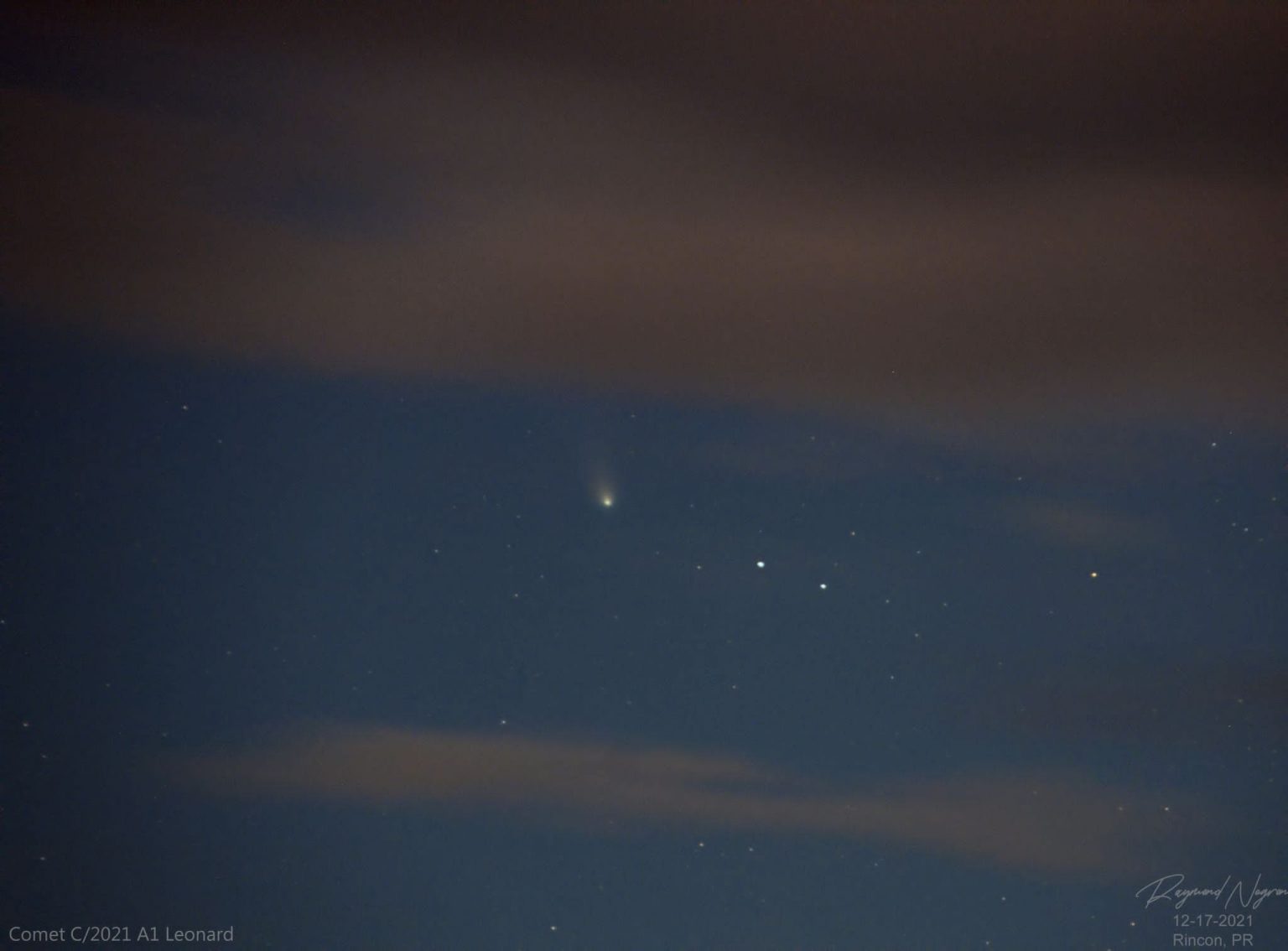 Comet Leonard in the evening sky