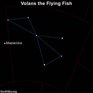 Volans the Flying Fish in southern skies
