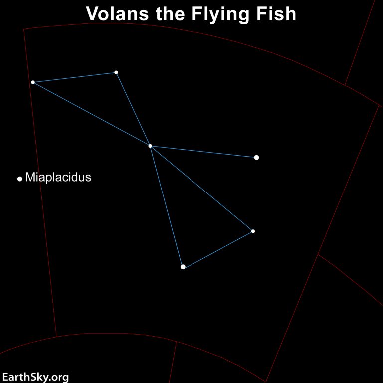 Volans the Flying Fish in southern skies